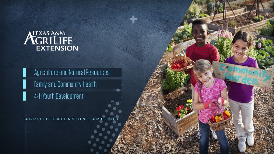 Texas AgriLife | GO TEXAN Market